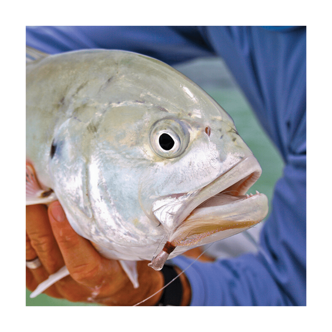 Seafood Market | La Perla Seafood Market